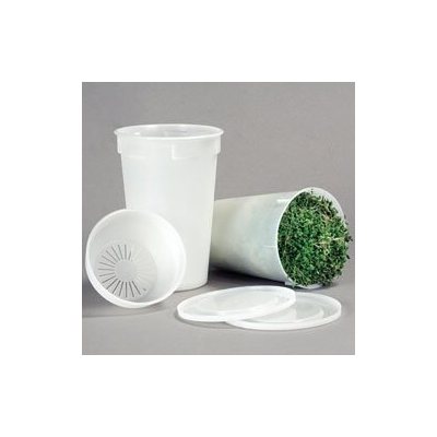 Easy-Sprout Sprouter Raw Nutrition Canada